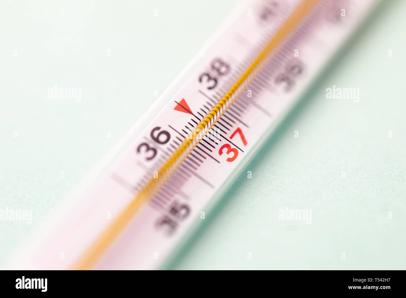 mercury thermometer isolated on white background, focus on 37 degree ...