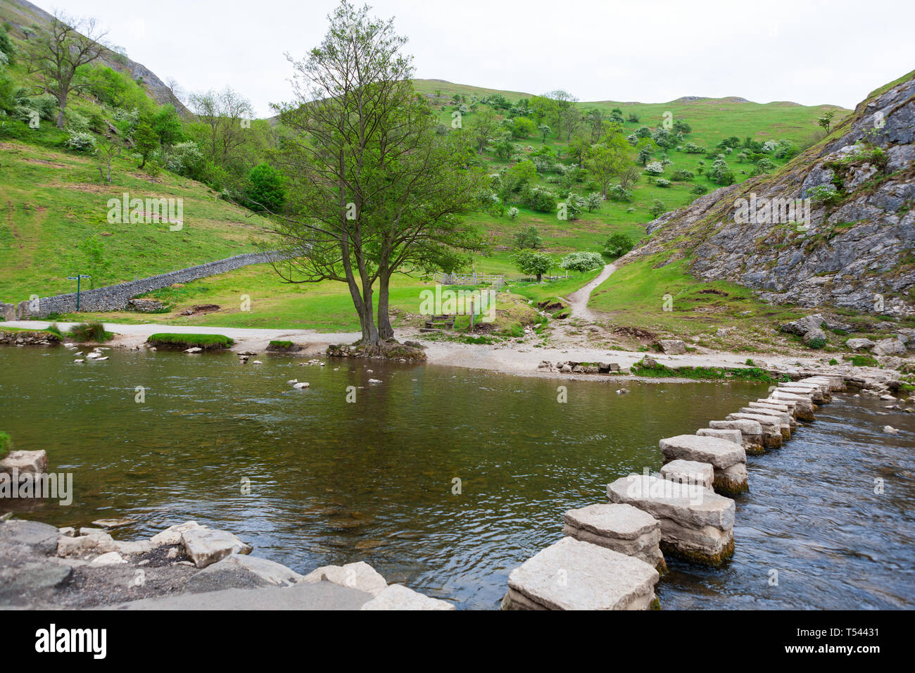 Dovedale Stepping Stones across River Dove, Peak District National Park ...
