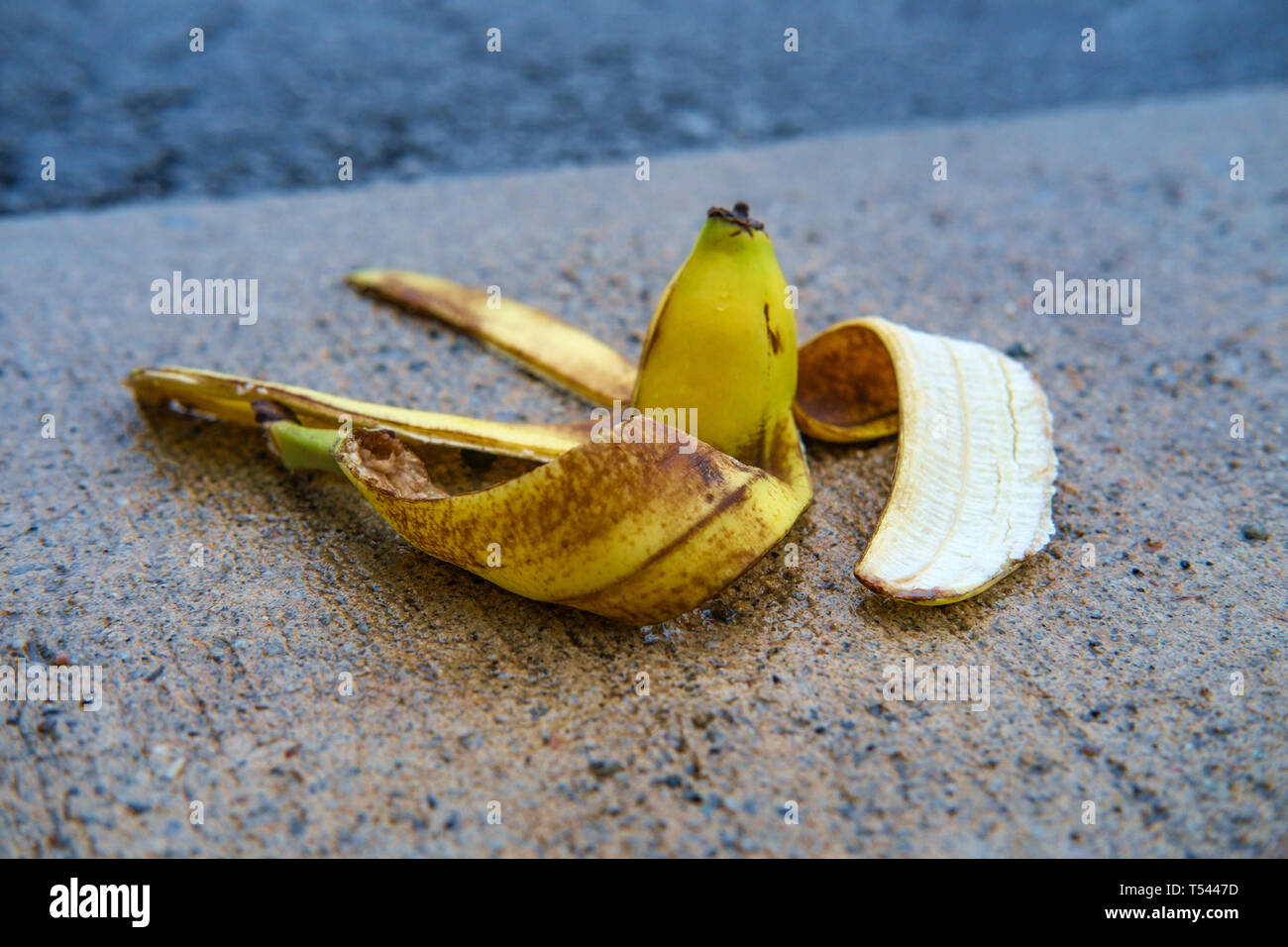 Slapstick slippery comedy banana peel laying on ground ready to make ...