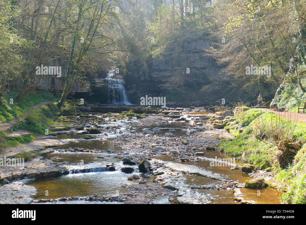 Cauldron Falls at West Burton in the Yorkshire Dales Stock Photo - Alamy
