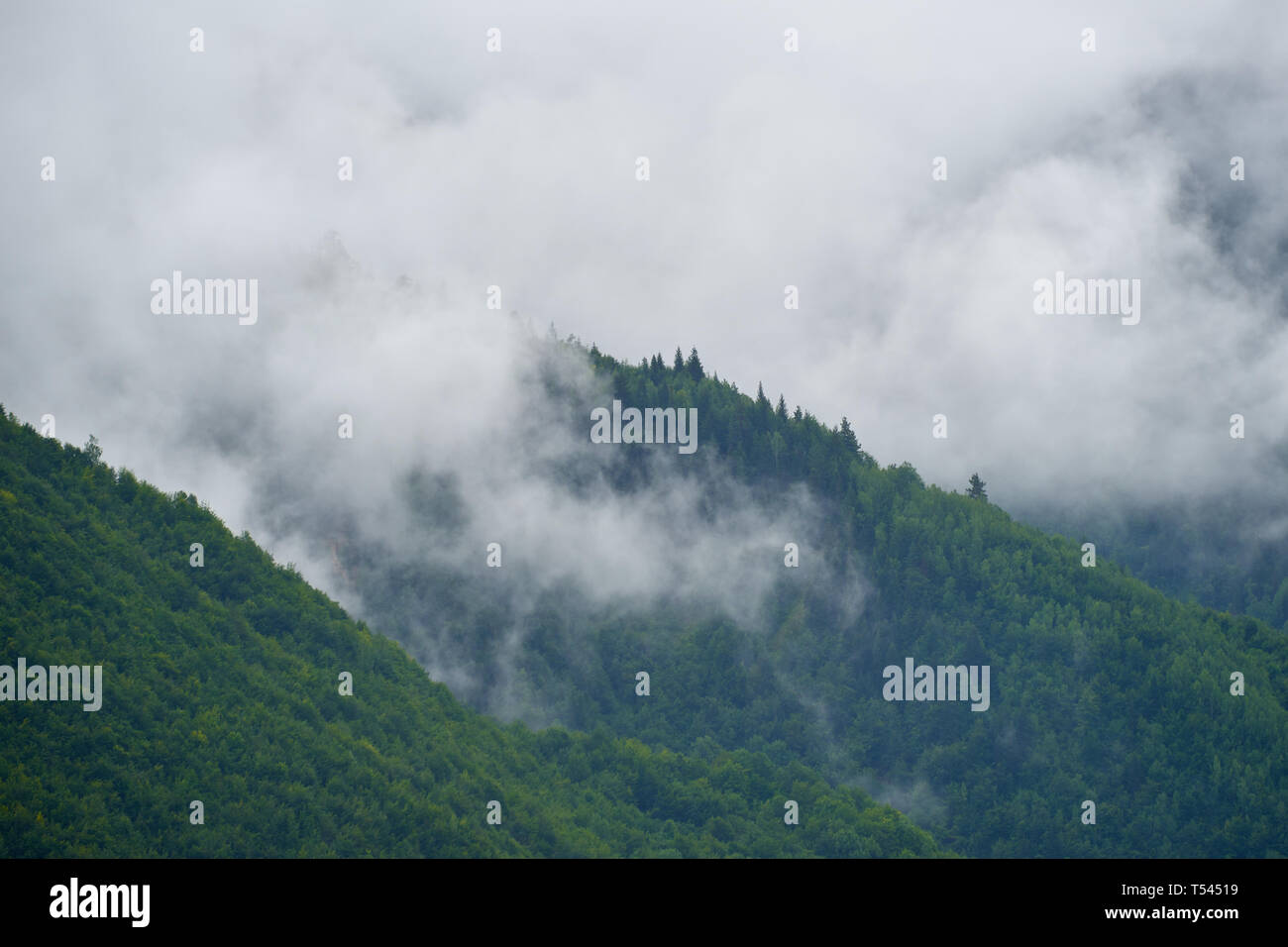 Mazeri hi-res stock photography and images - Alamy