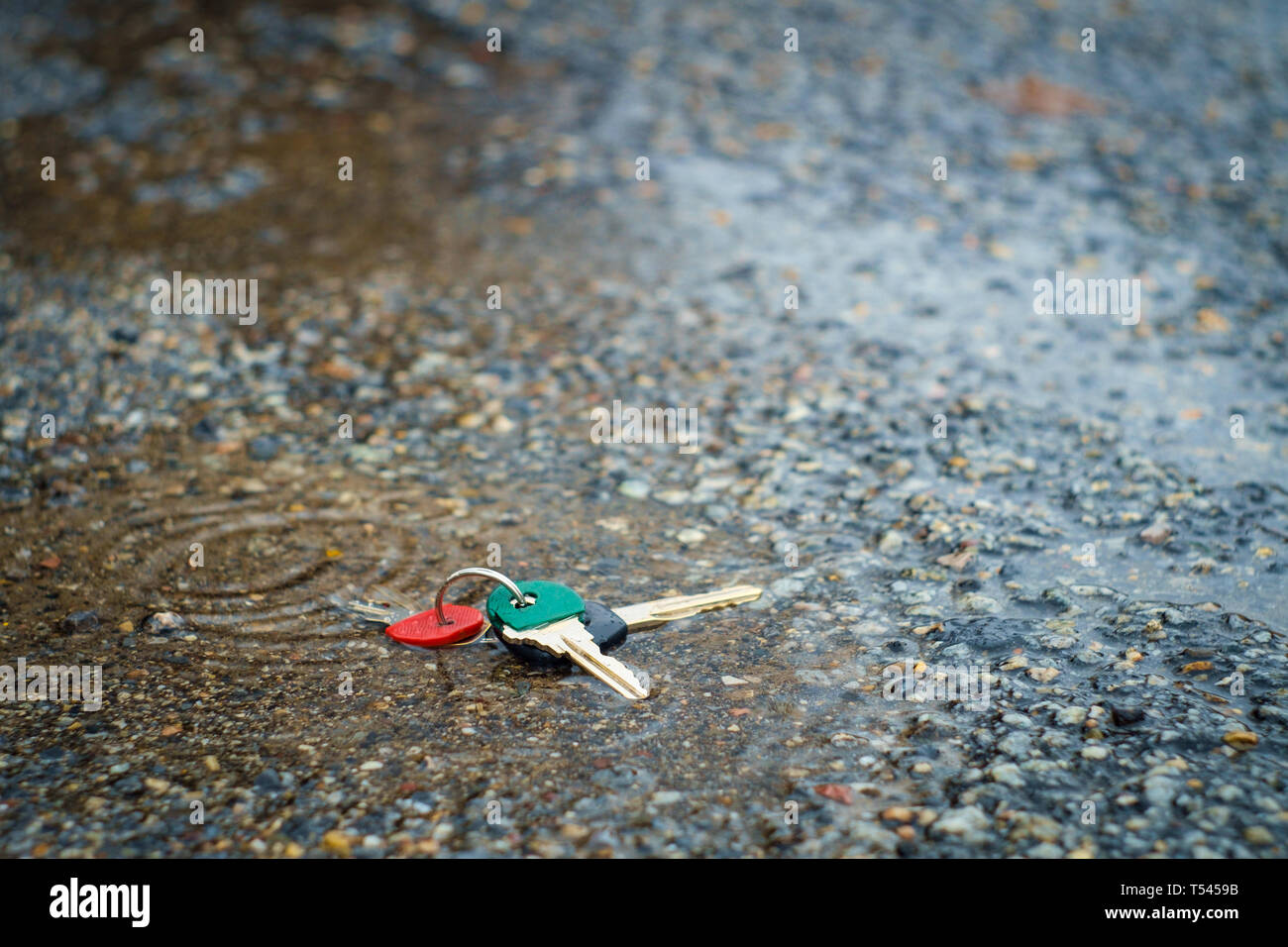 Car door pavement concept hi-res stock photography and images - Alamy