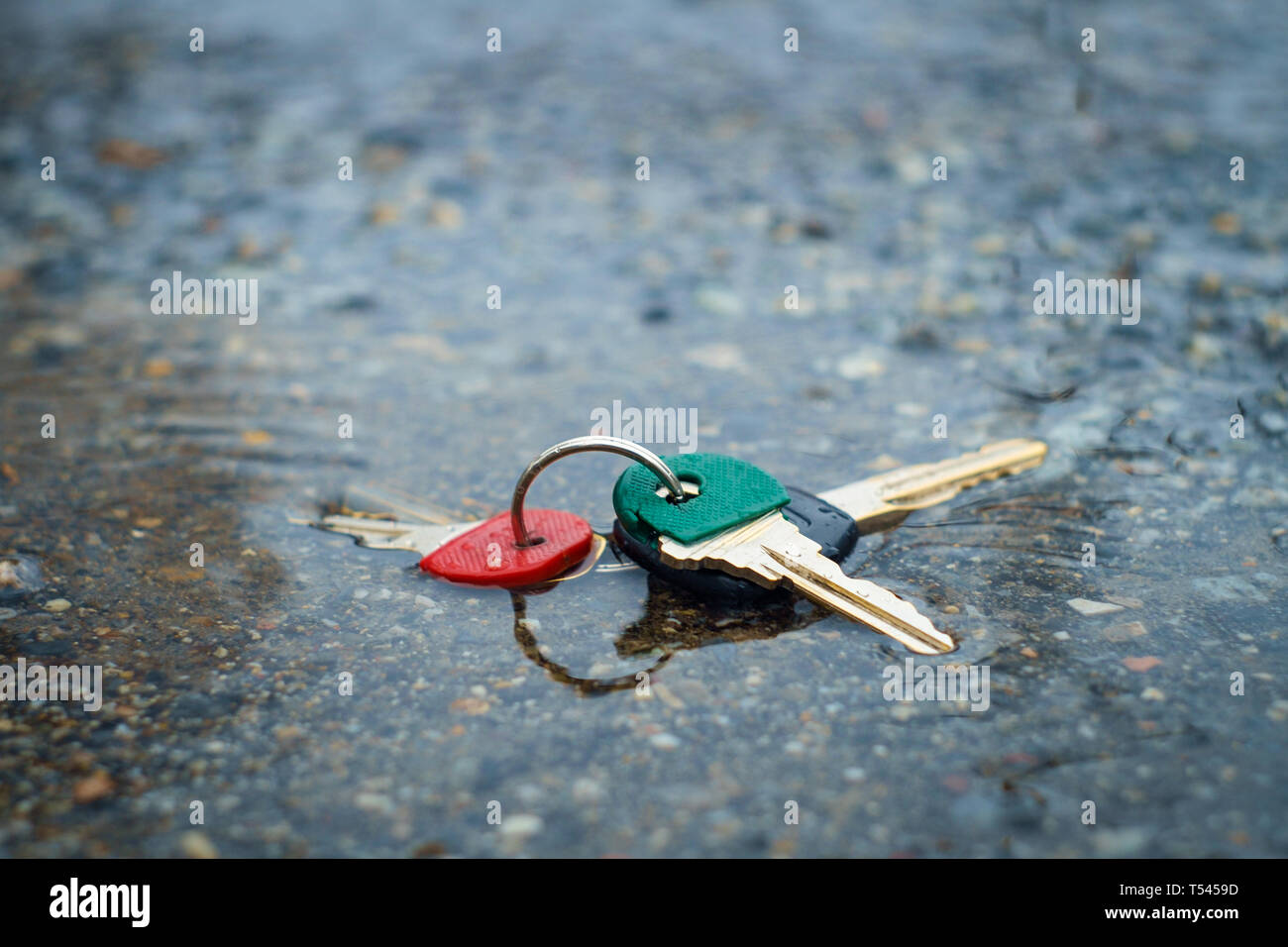 Car door pavement concept hi-res stock photography and images - Alamy