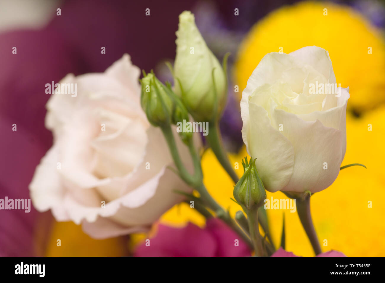 Beautiful bouquet colorful flowers hi-res stock photography and images ...