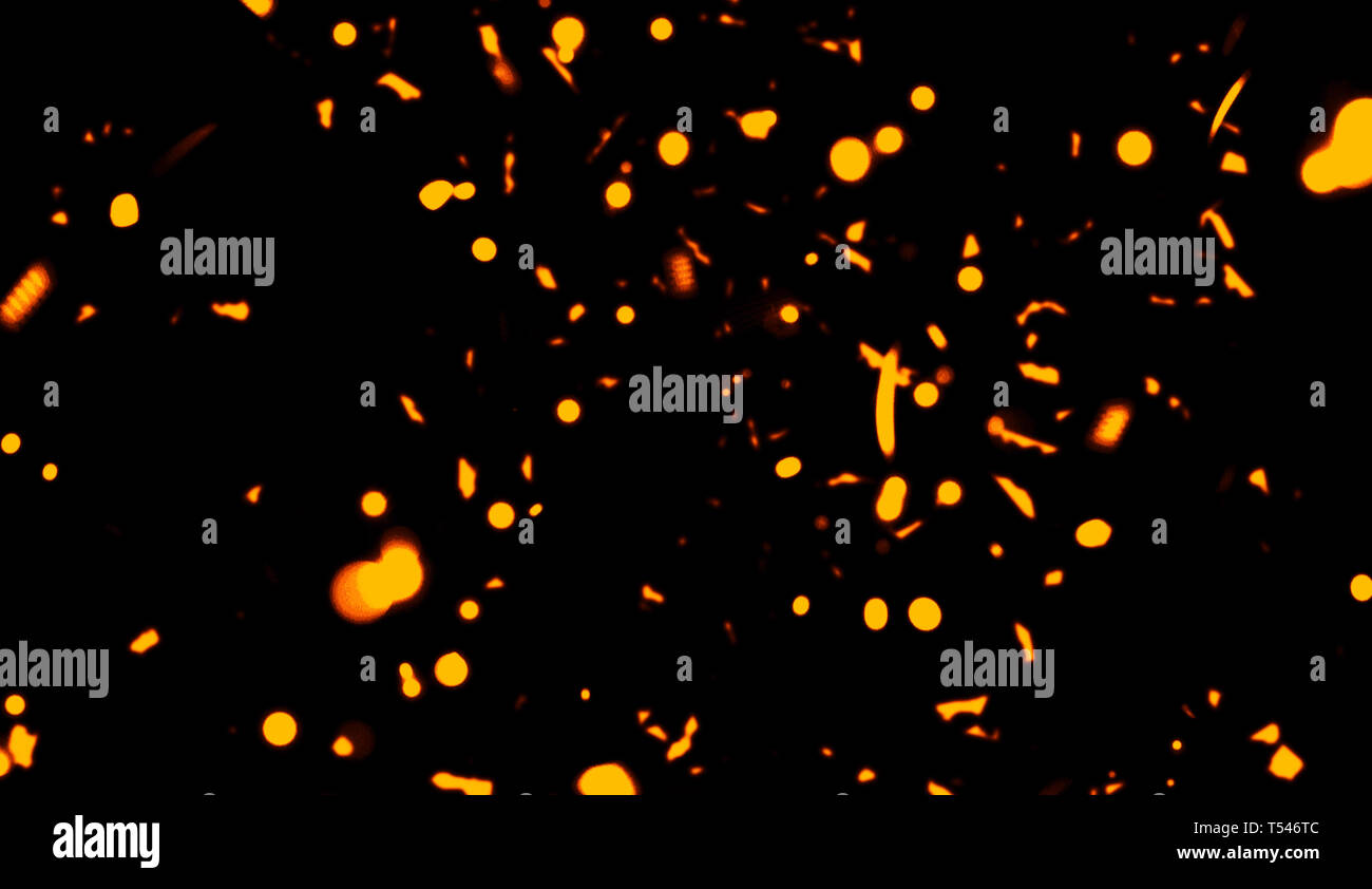 Fire particles effect dust debris isolated on black background, motion ...