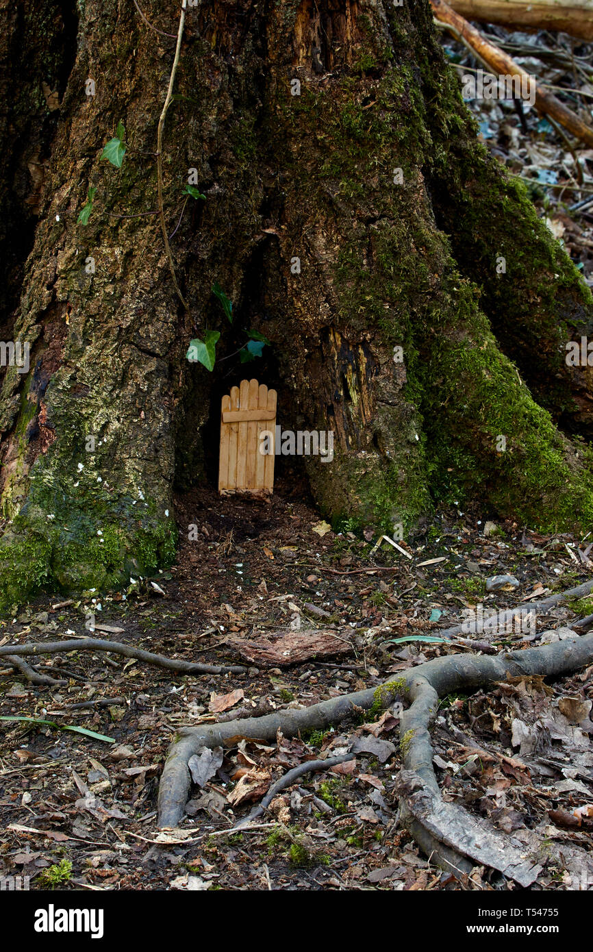 Doorway into base of large tree as a gateway to nature abstract Stock ...