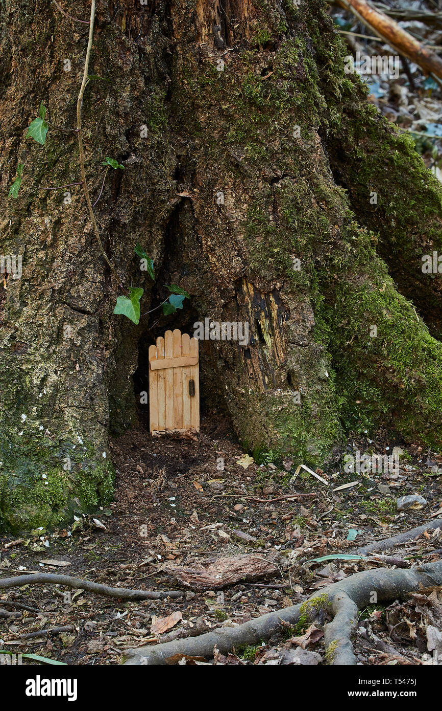 Doorway into base of large tree as a gateway to nature abstract Stock ...