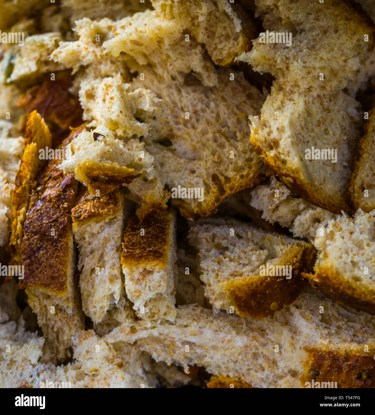 Bird eating bread crusts hi-res stock photography and images - Alamy