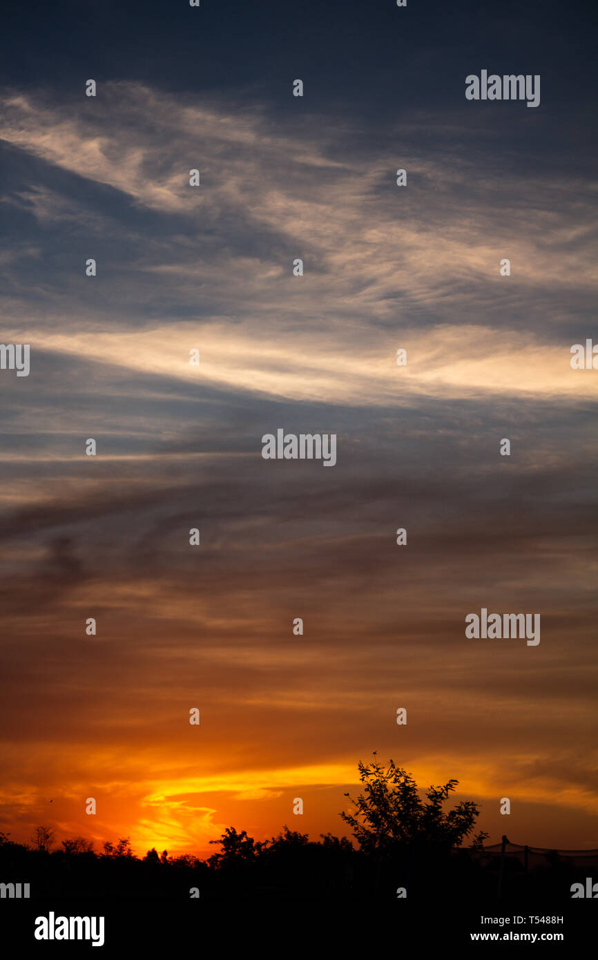 Beautiful sunset with golden colored clouds. Vertical view of the sun's ...