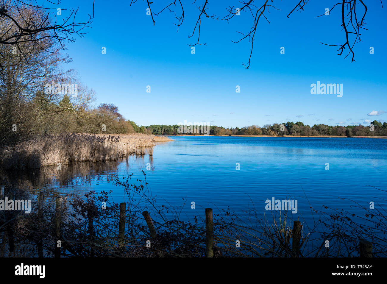 Frensham ponds hi-res stock photography and images - Alamy
