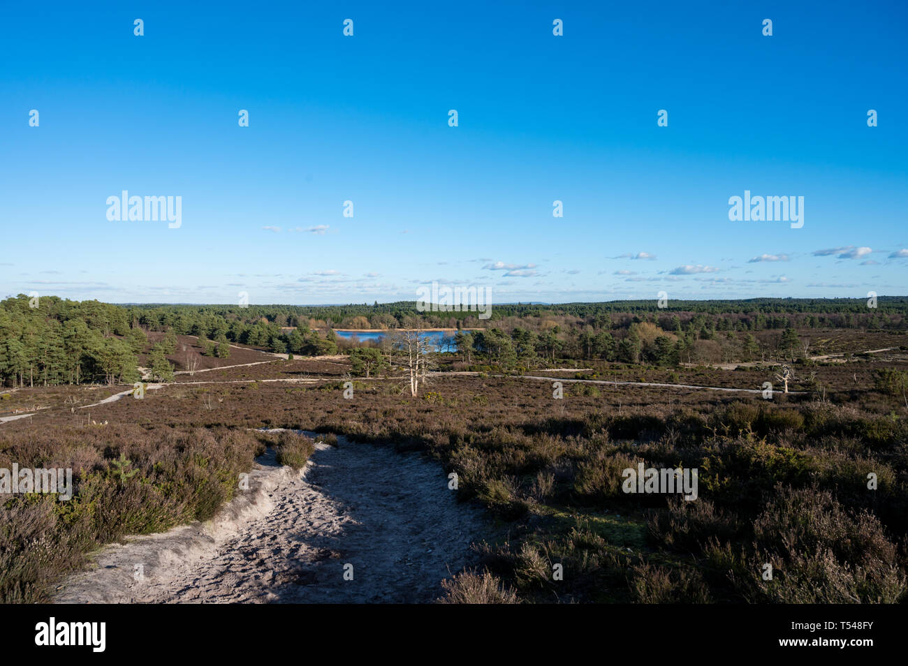 Ice At Frensham High Resolution Stock Photography and Images - Alamy