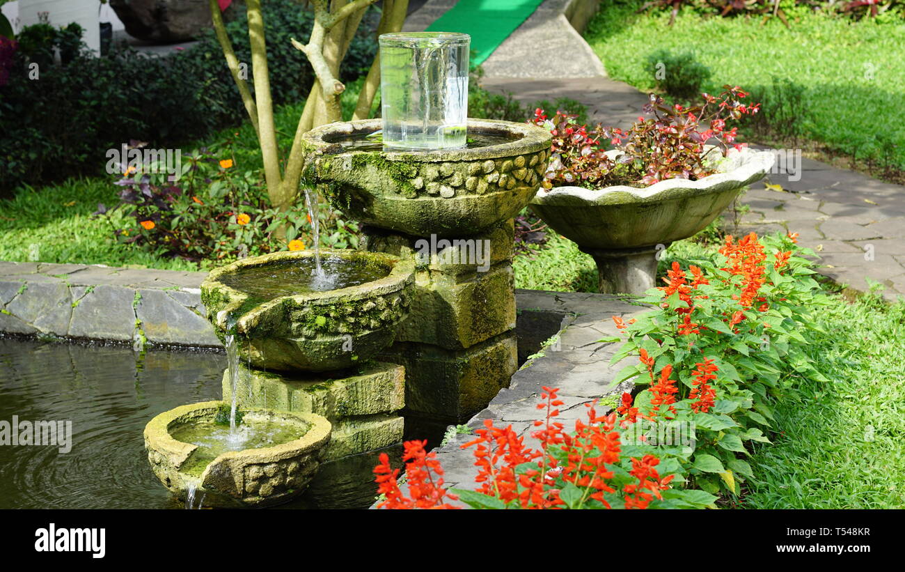 Garden of flowers, plant and fontain Stock Photo - Alamy