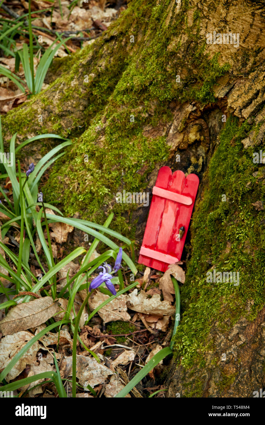 Doorway into base of large tree as a gateway to nature abstract Stock ...