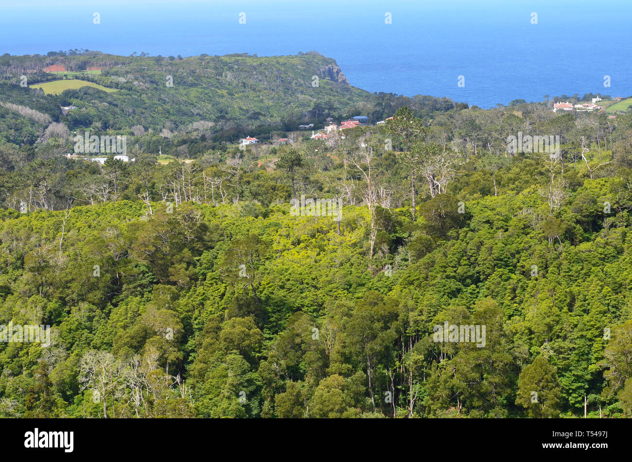 Panoramic views over Santa Maria island from the summit of Pico Alto ...