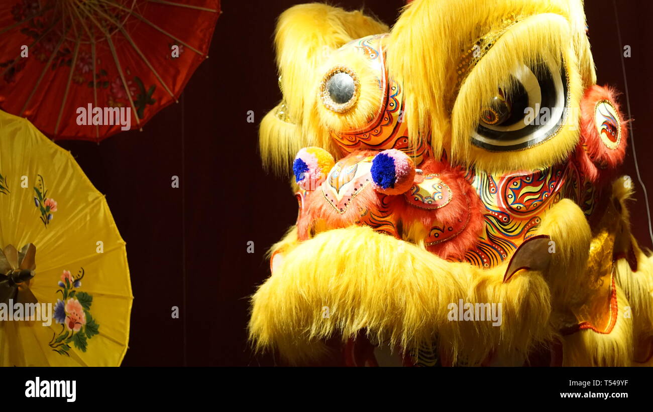 Lion dance (barongsai Stock Photo - Alamy