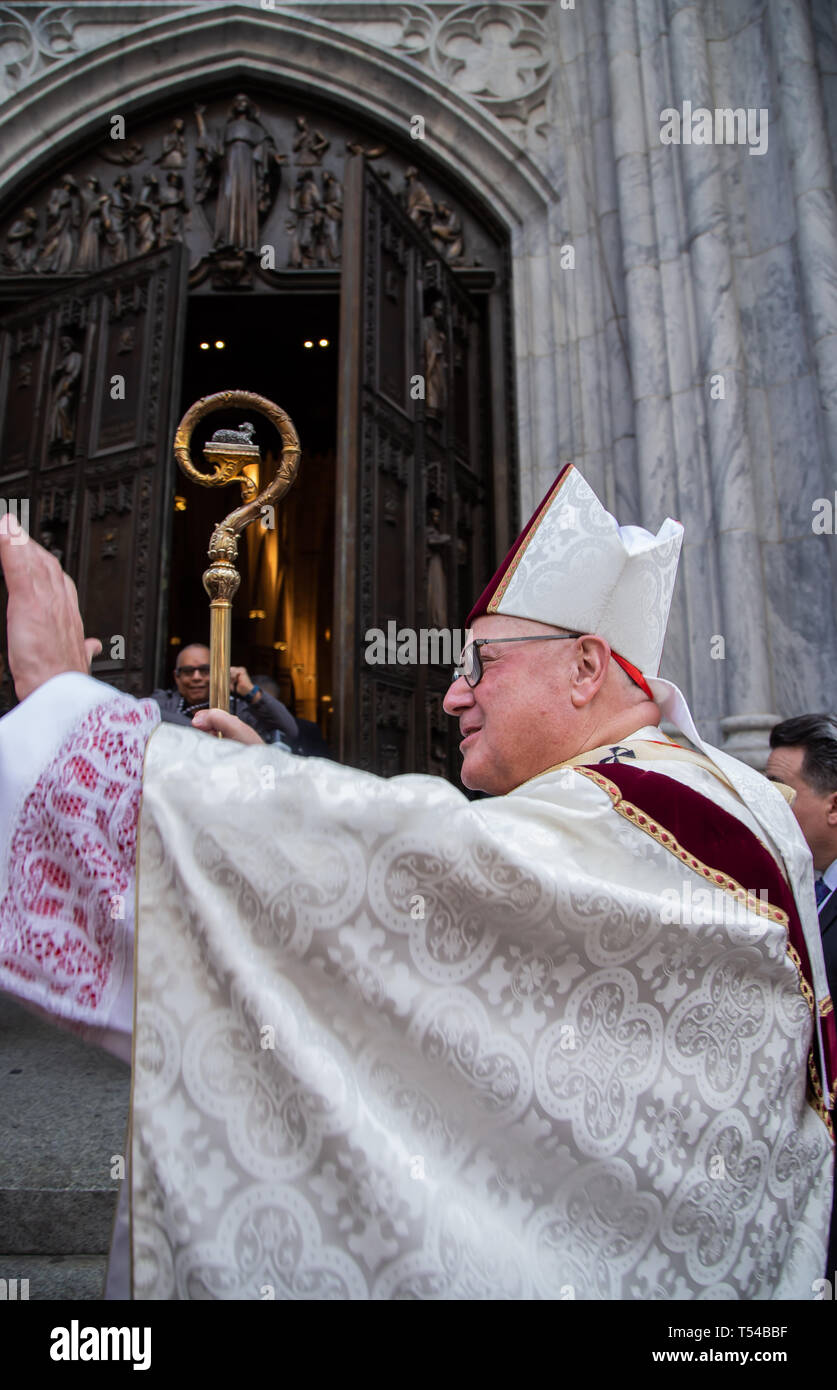 Cardinal eggs hi-res stock photography and images - Alamy