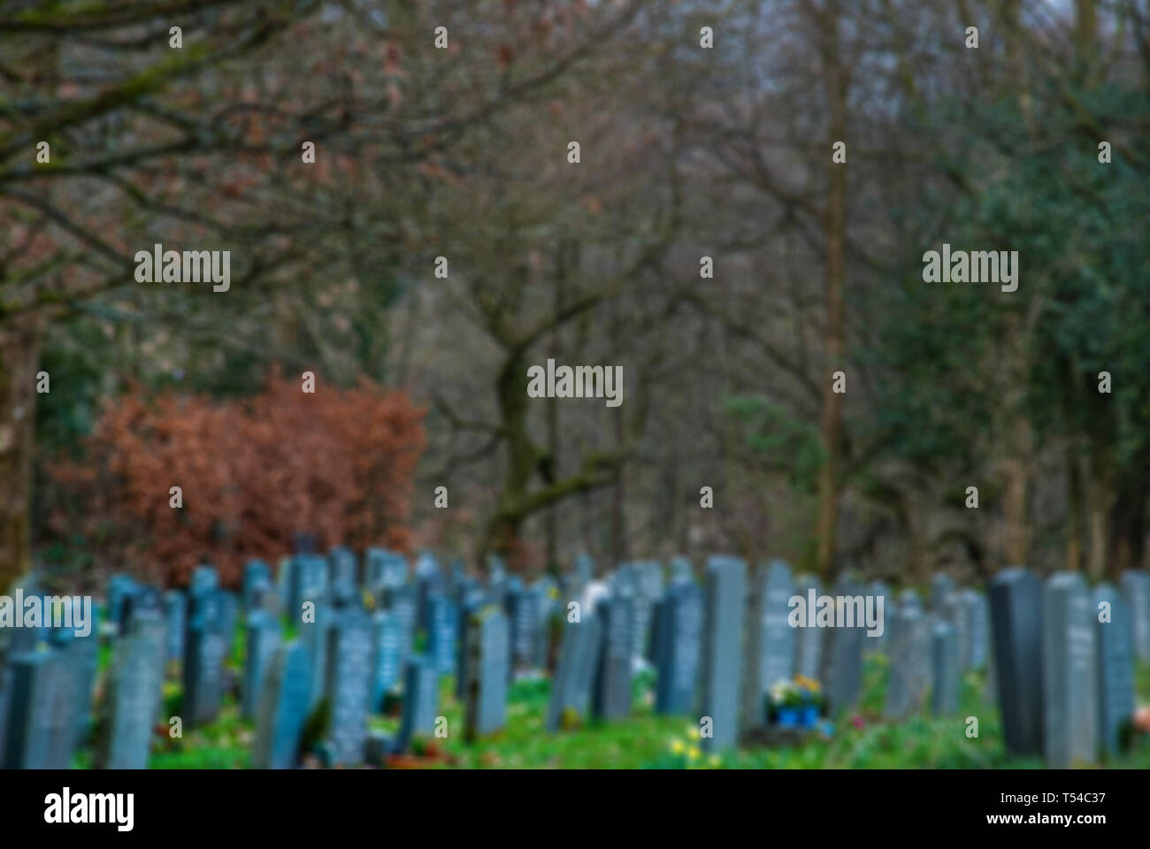 tombstones at the Old Cemetery blurred background Stock Photo - Alamy