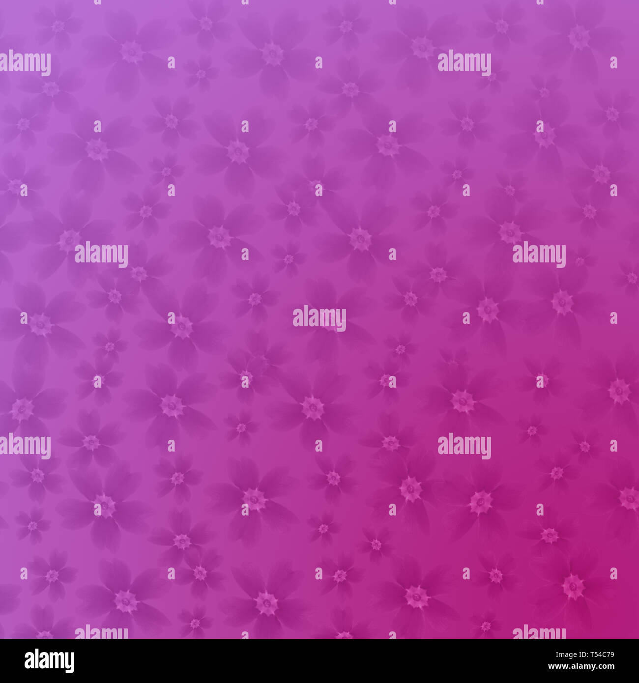 Primula flowers made with dahlia gradient for background. Abstract ...