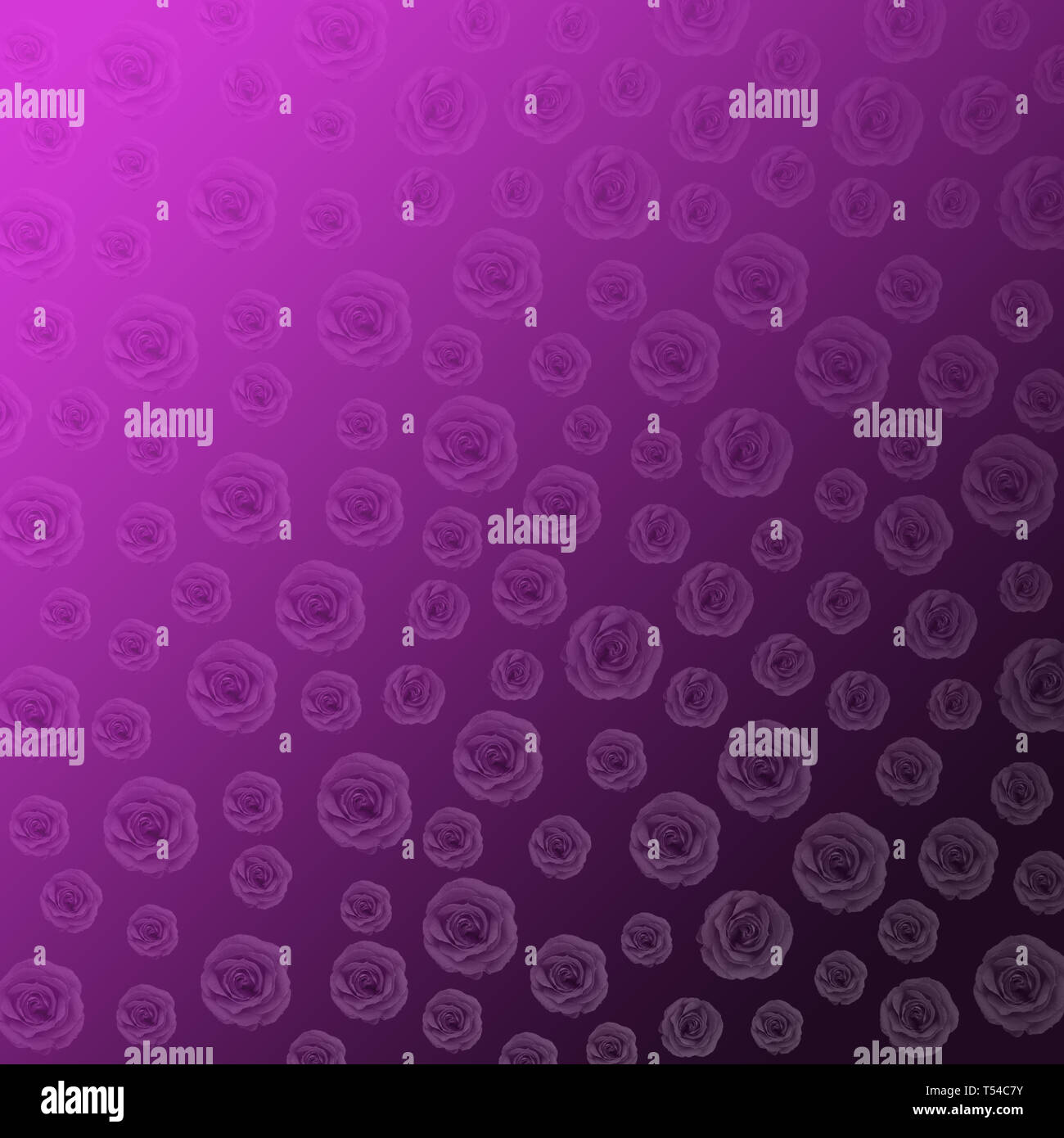 Luxury purple gradient hi-res stock photography and images - Alamy