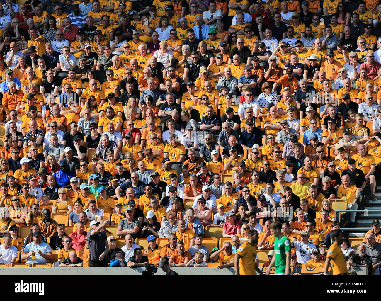 Wolverhampton wanderers fans hi-res stock photography and images - Alamy