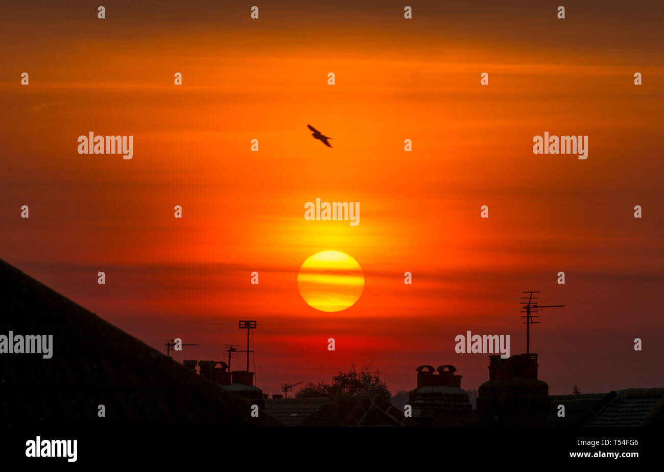 Aerial housing london rooftops hi-res stock photography and images - Alamy
