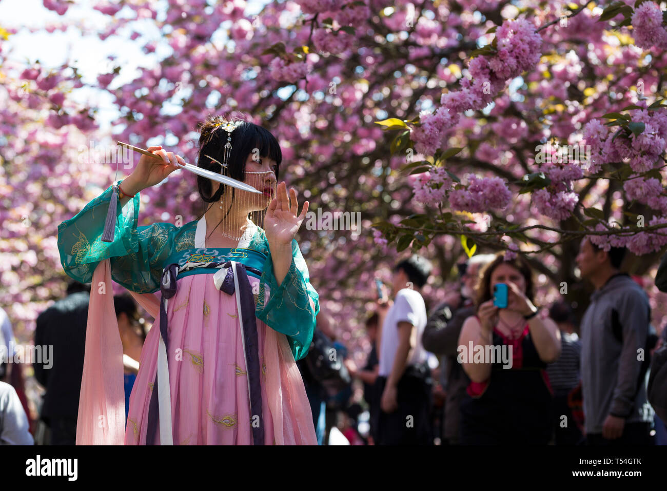 Paris, France. 20th April 2019. Hanami Spring Cherry Blossom Festival ...