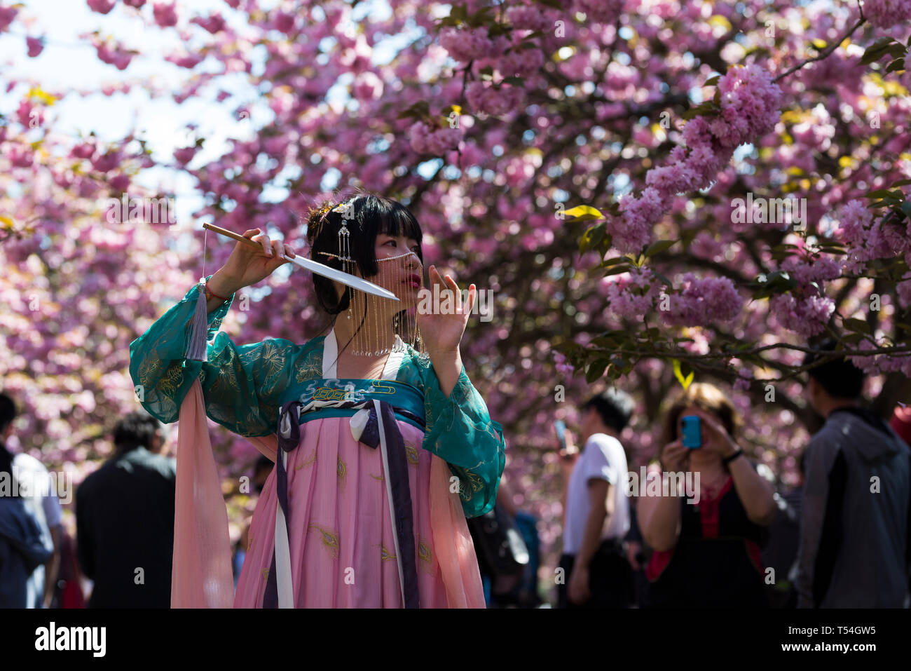 Paris, France. 20th April 2019. Hanami Spring Cherry Blossom Festival ...