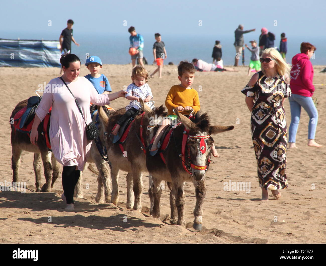 Donkey led hi-res stock photography and images - Alamy
