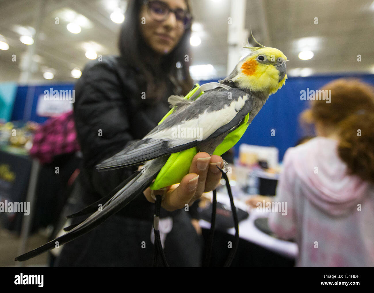 Toronto, Canada. 20th Apr, 2019. A woman poses for photos with her pet ...