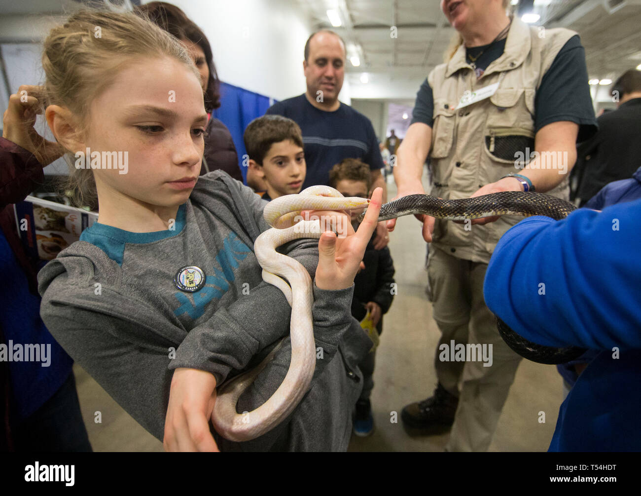 Snakes of canada hi-res stock photography and images - Alamy