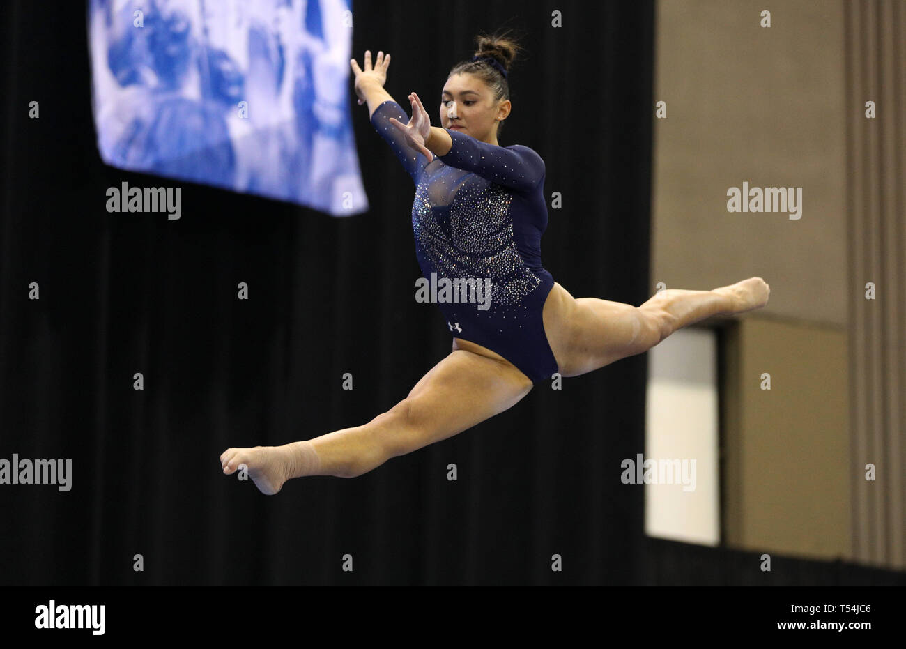 Kyla ross bruins hi-res stock photography and images - Alamy