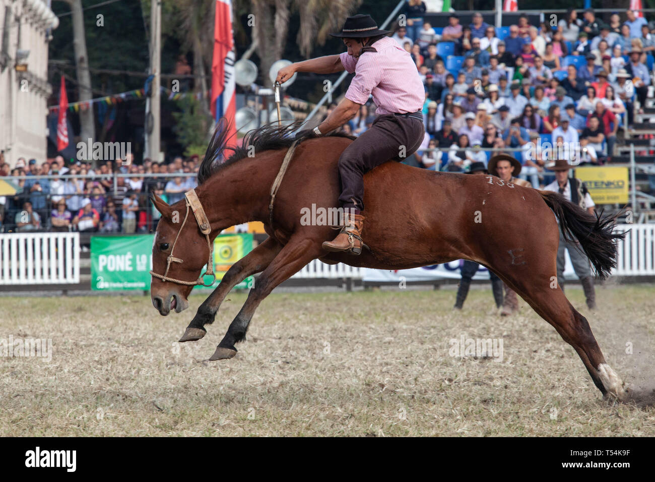 Montevideo, Uruguay. 20th Apr, 2019. A Gaucho (Cowboy) seen riding a ...