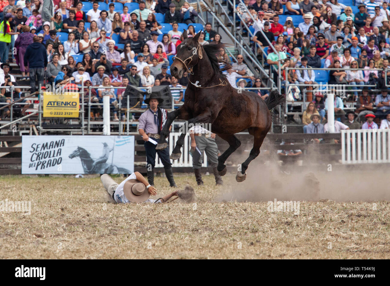 Montevideo, Uruguay. 20th Apr, 2019. A Gaucho (Cowboy) seen riding a ...