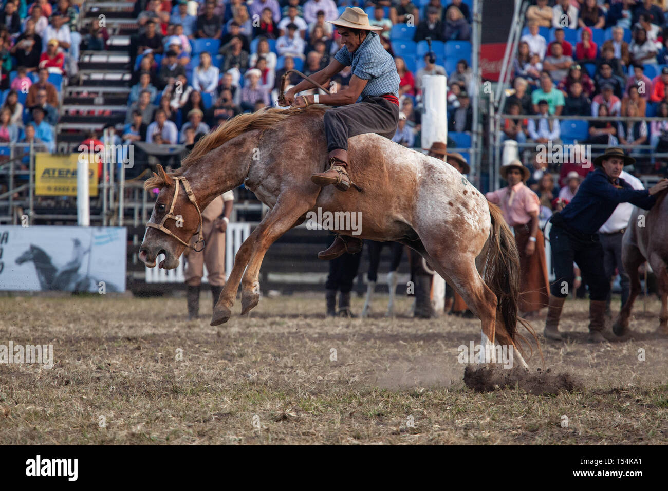 Montevideo, Uruguay. 20th Apr, 2019. A Gaucho (Cowboy) seen riding a ...