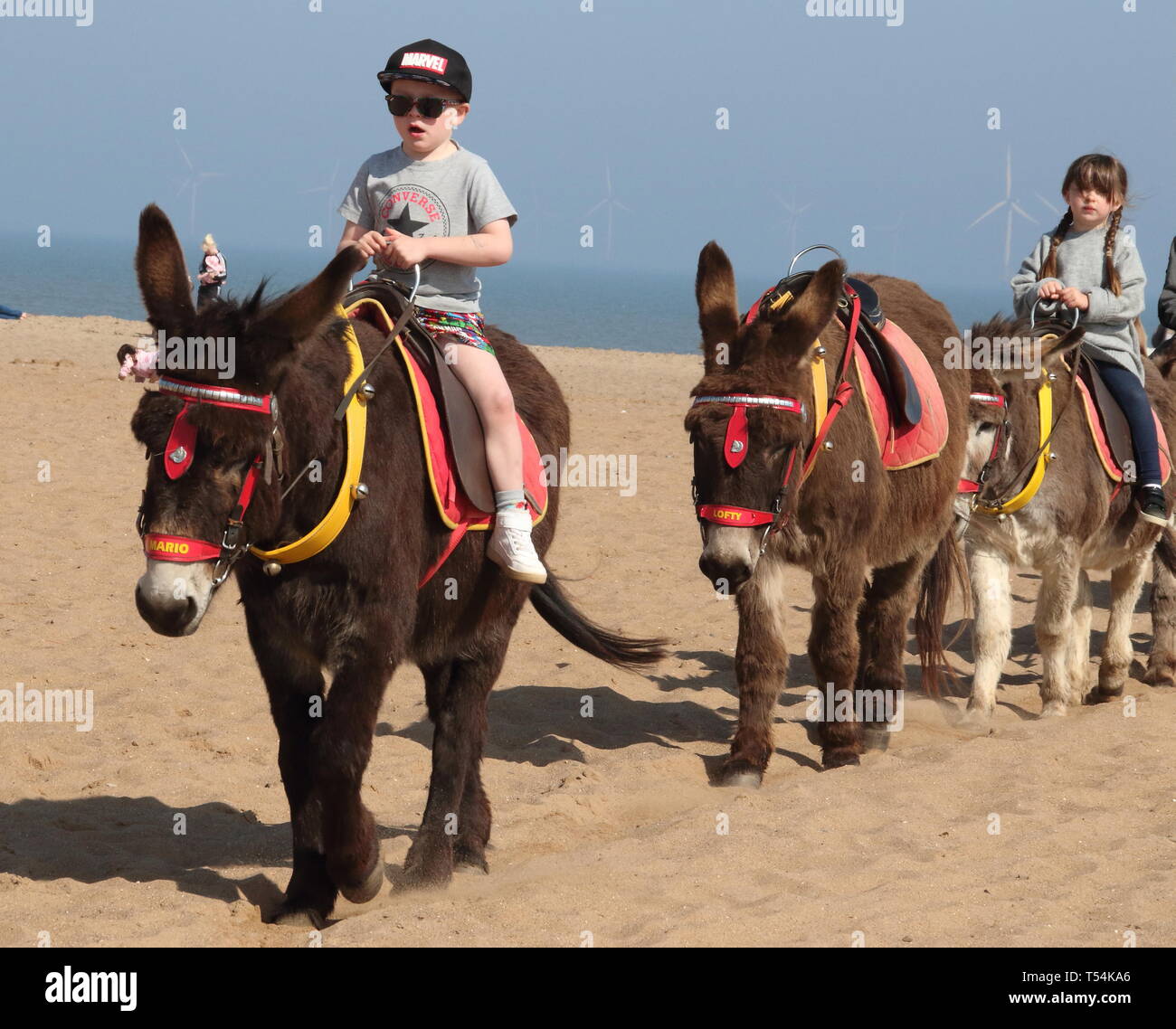 Traditional seaside donkey rides hi-res stock photography and images ...