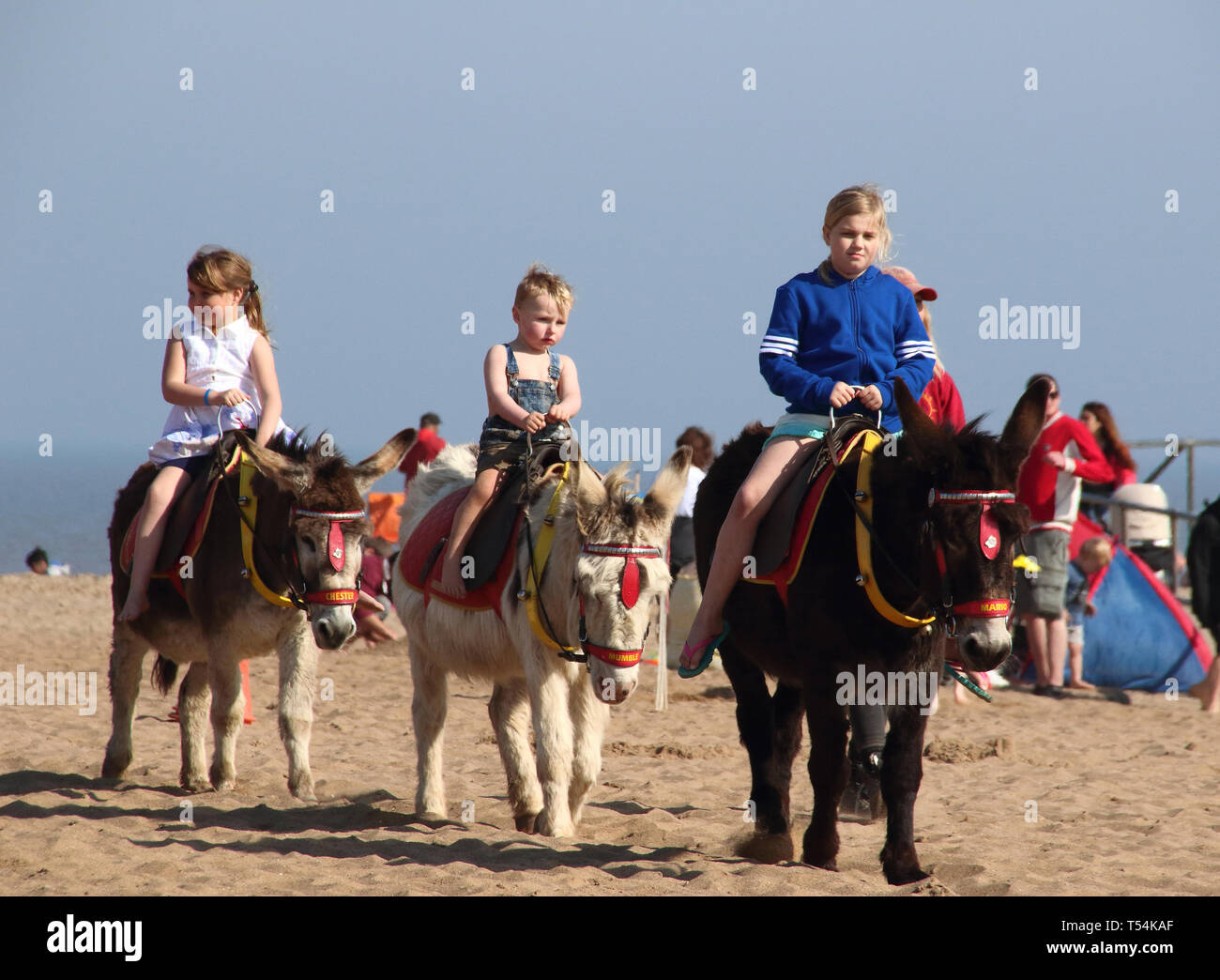 Donkey rides on beach skegness hi-res stock photography and images - Alamy