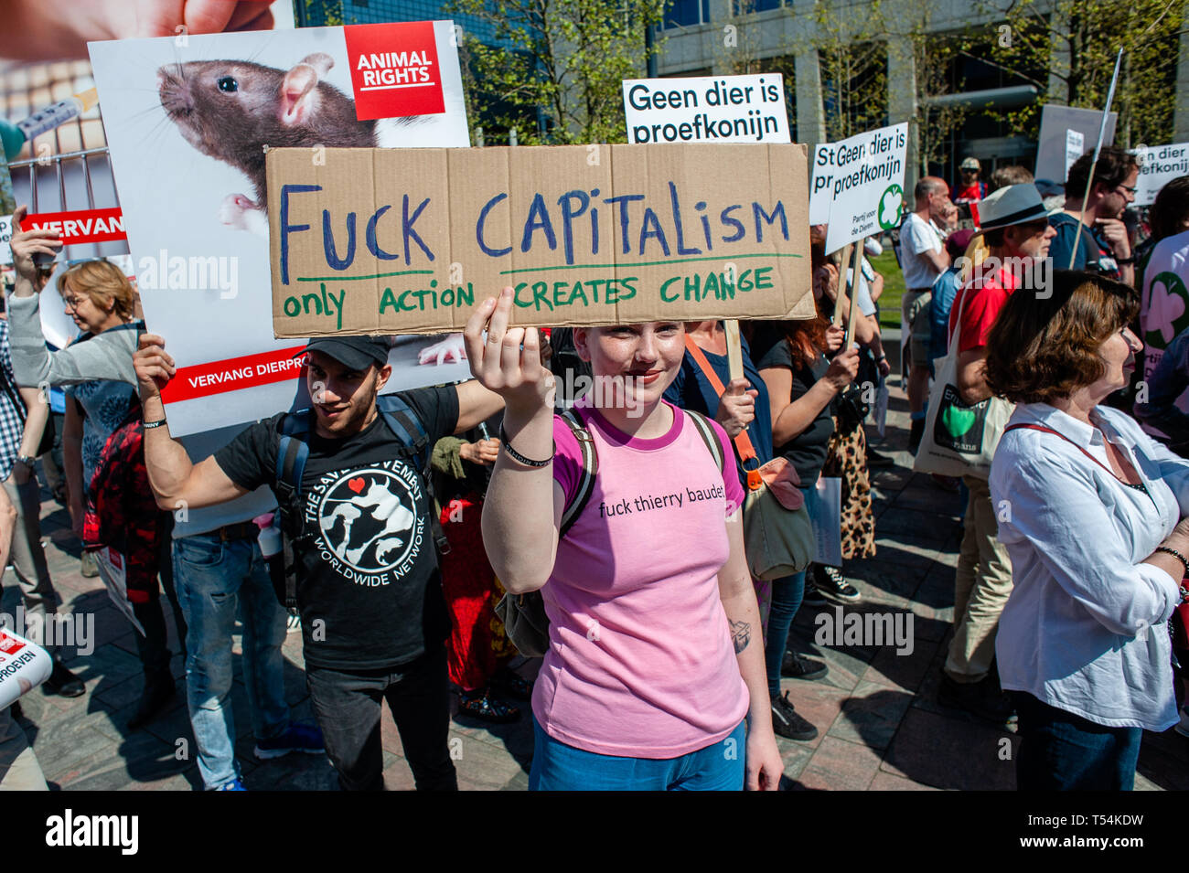 Stop animal testing hi-res stock photography and images - Alamy