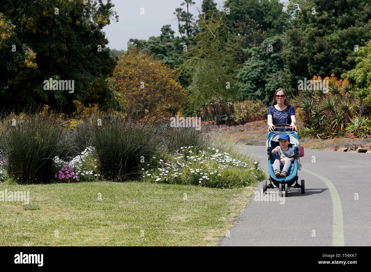 Los angeles county arboretum botanic garden hi-res stock photography ...