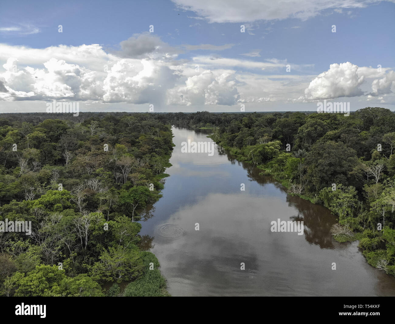 Clavero, Amazon, Peru. 21st Mar, 2019. Aerial view of Cano Belludo ...