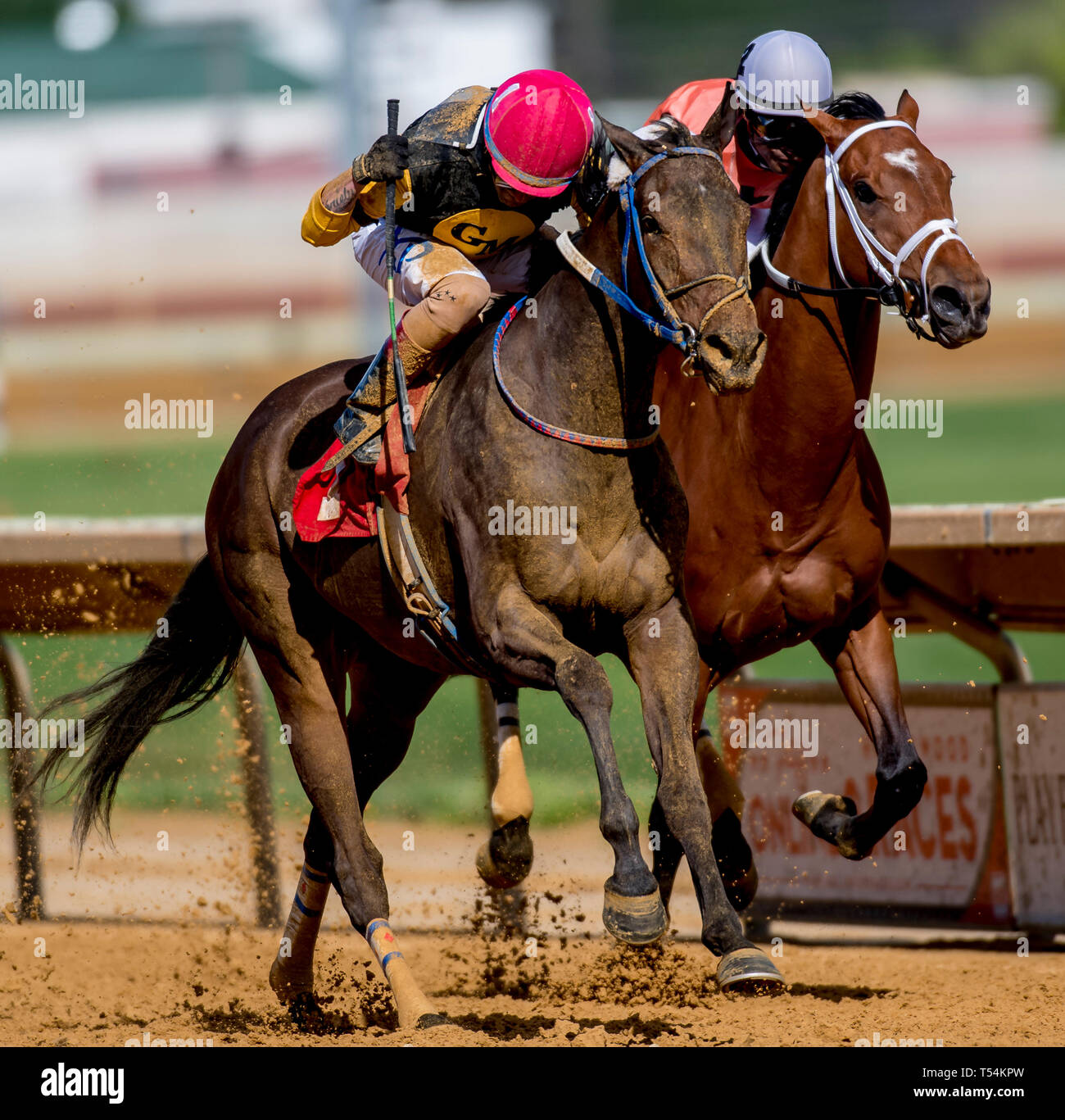 Charles Town, West Virginia, USA. 20th Apr, 2019. CHARLES TOWN, WEST ...