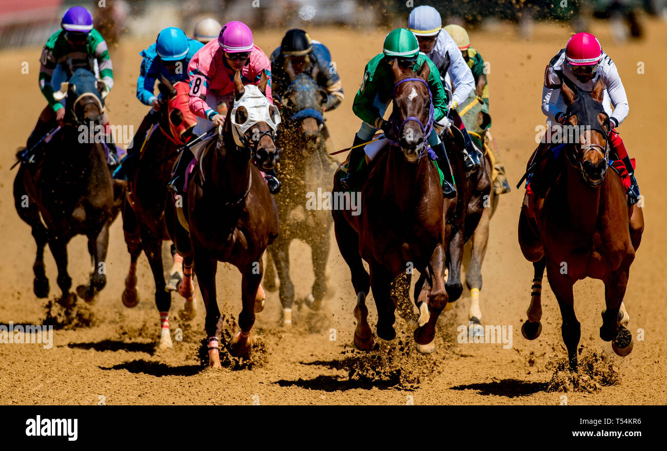 Charles Town, West Virginia, USA. 20th Apr, 2019. CHARLES TOWN, WEST ...