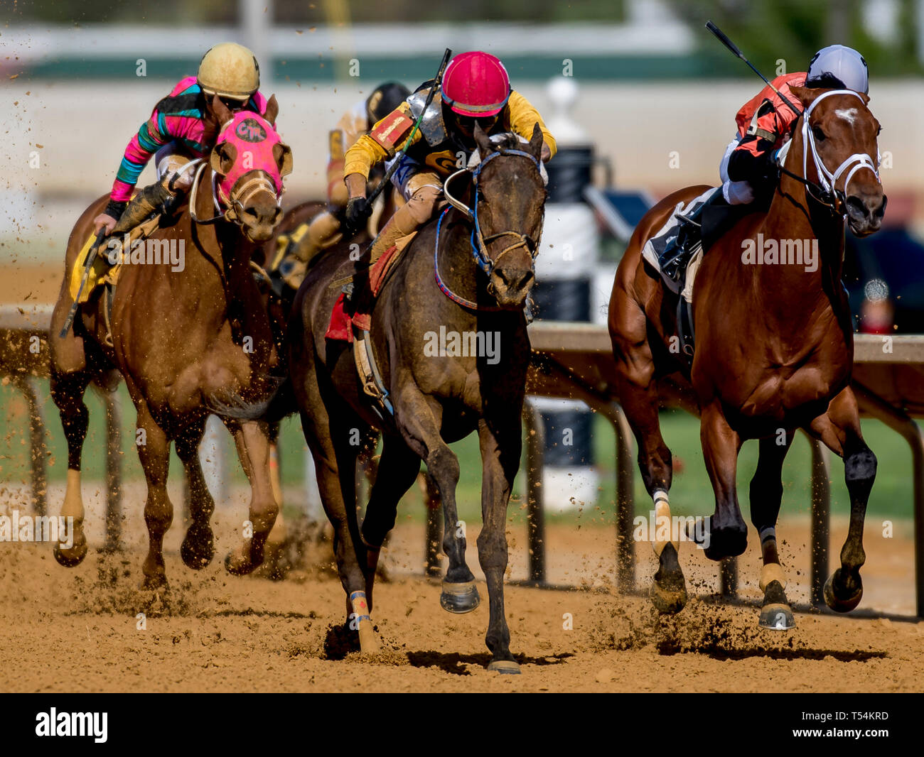 Charles Town, West Virginia, USA. 20th Apr, 2019. CHARLES TOWN, WEST ...