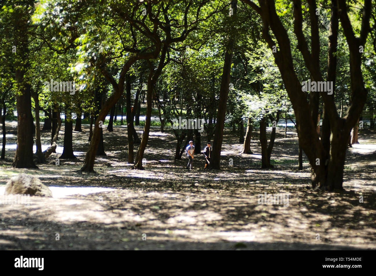 Bosque de chapultepec park in mexico hi-res stock photography and ...