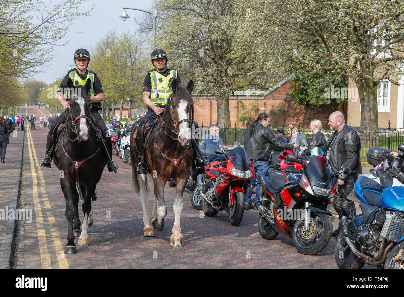 Pillion horse hi-res stock photography and images - Alamy