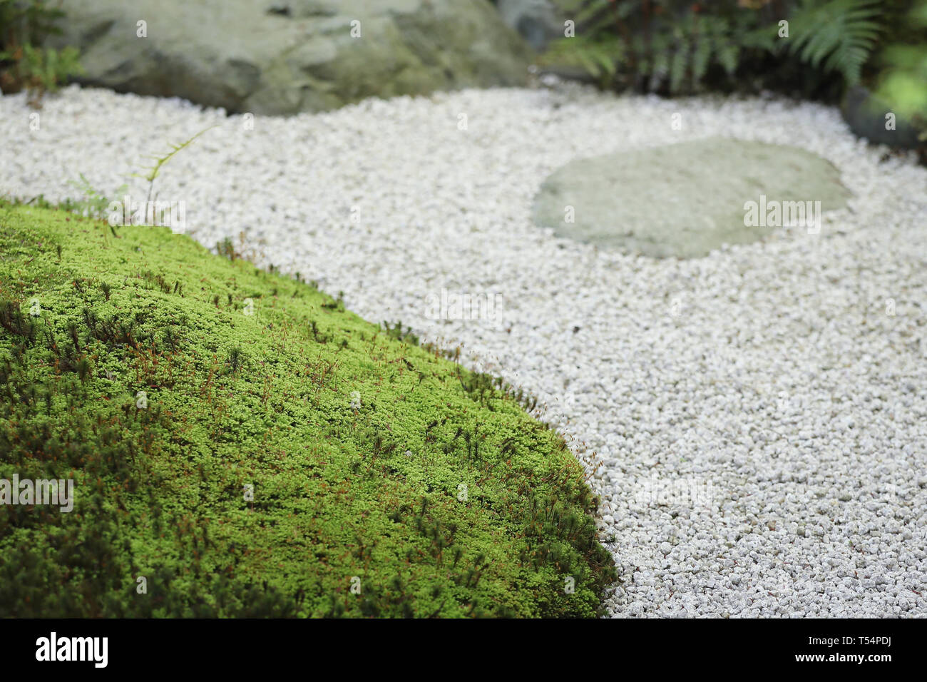 Yasugi. 18th Apr, 2019. Photo taken on April 18, 2019 shows a view of ...