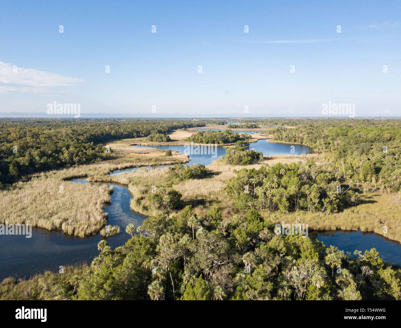 Homosassa hi-res stock photography and images - Alamy