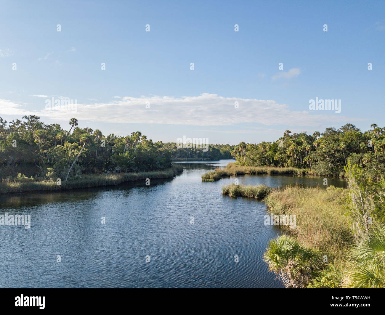 Homosassa River Water High Resolution Stock Photography and Images - Alamy