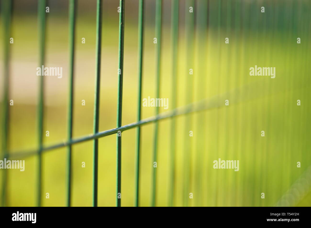grid of green fence mesh on the background of the lawn field, closeup ...
