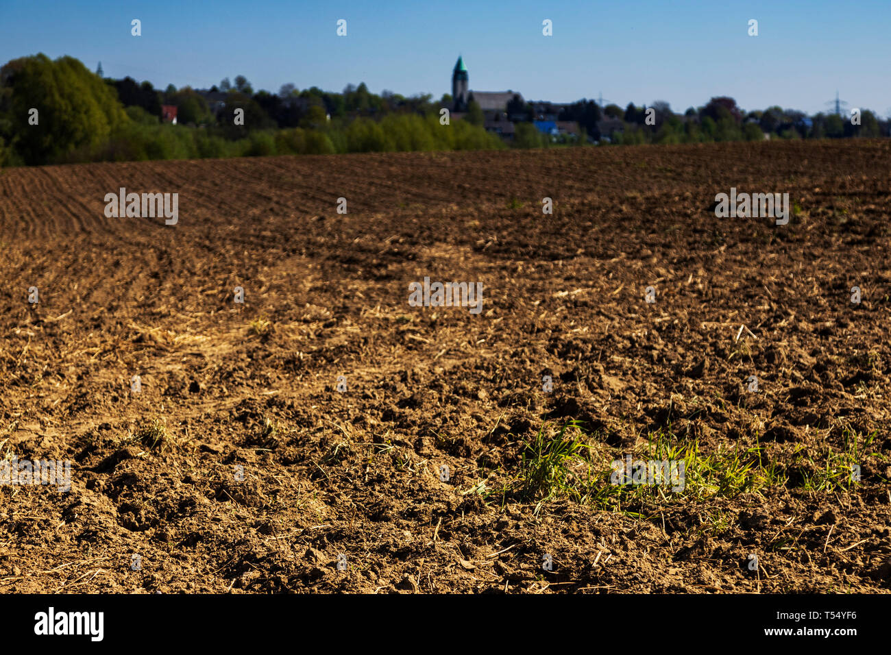 Arable nature hi-res stock photography and images - Alamy