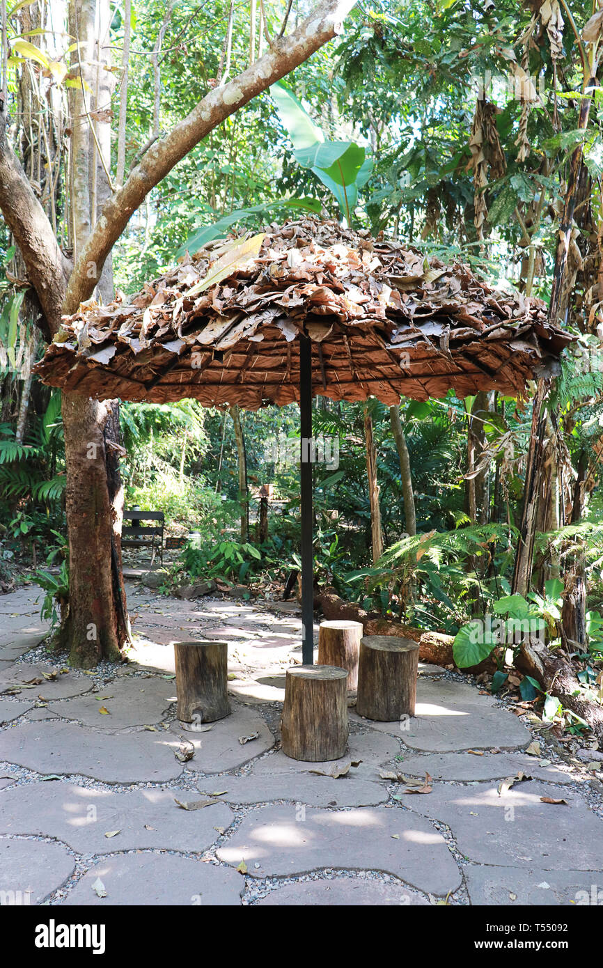 Palm leaves traditional umbrella hi-res stock photography and images ...